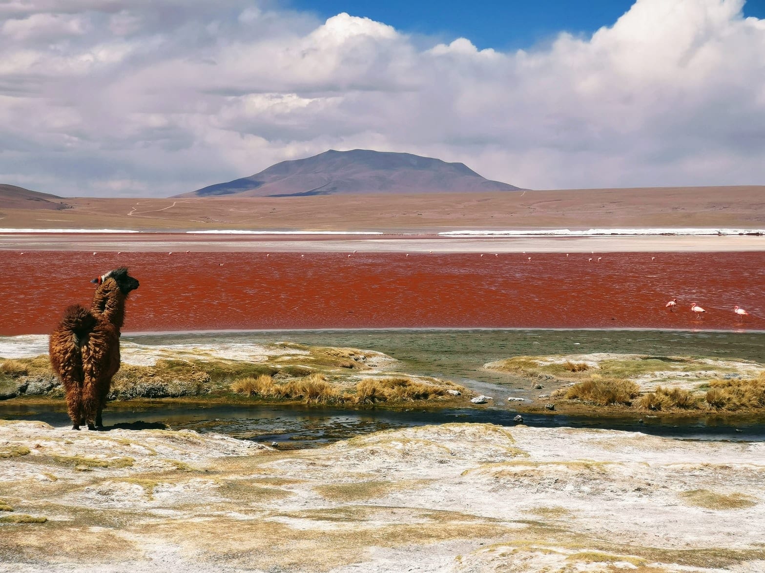 17 Brilliant Facts About Bolivia - Fact City