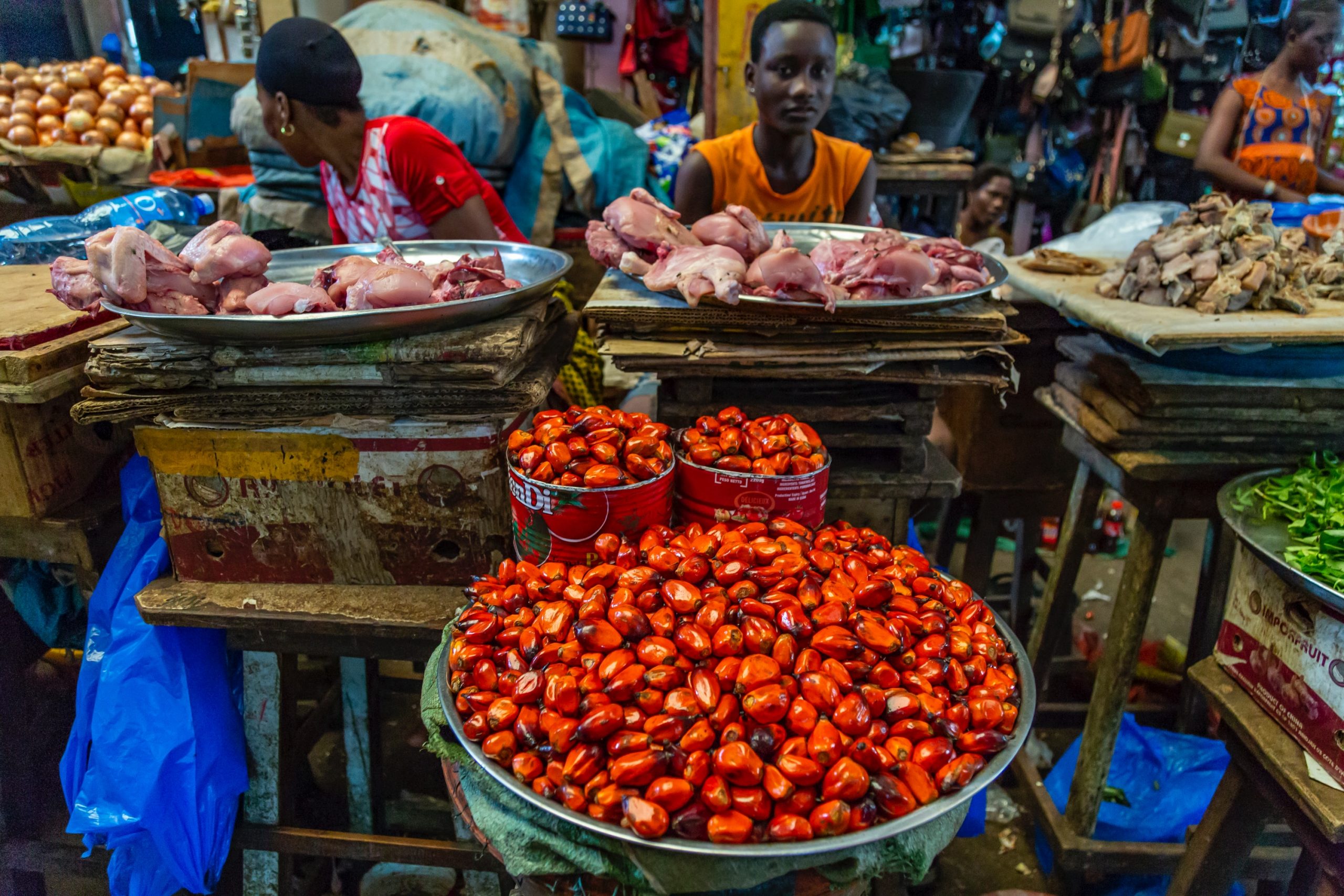 24 Interesting Facts About Ivory Coast Cte D39ivoire The Facts