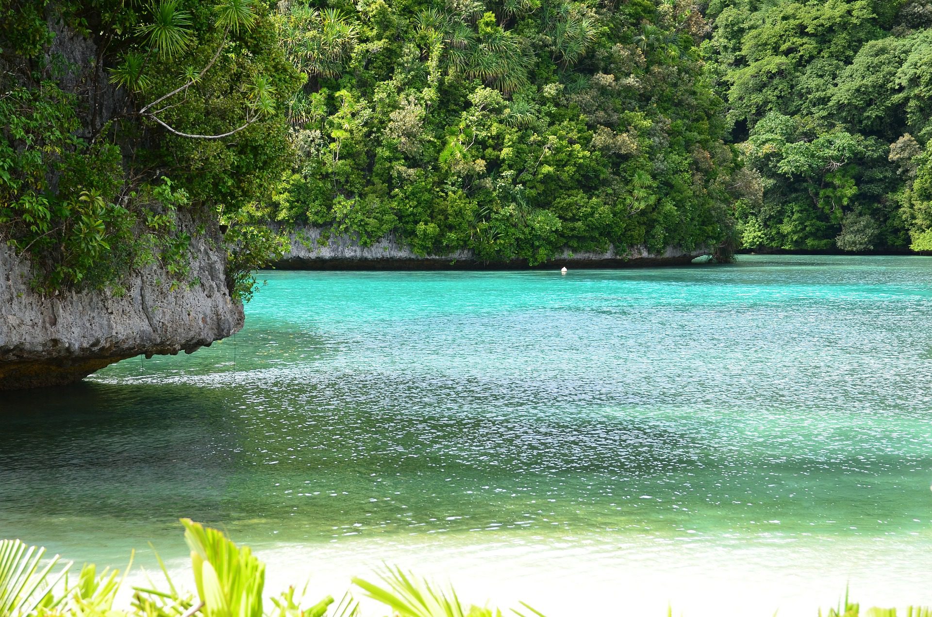 15 Pleasing Facts About Palau - Fact City