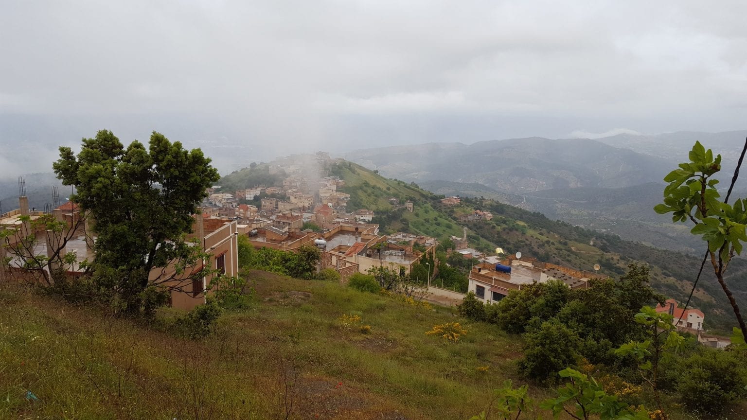 14 Interesting Facts about Algeria - Fact City