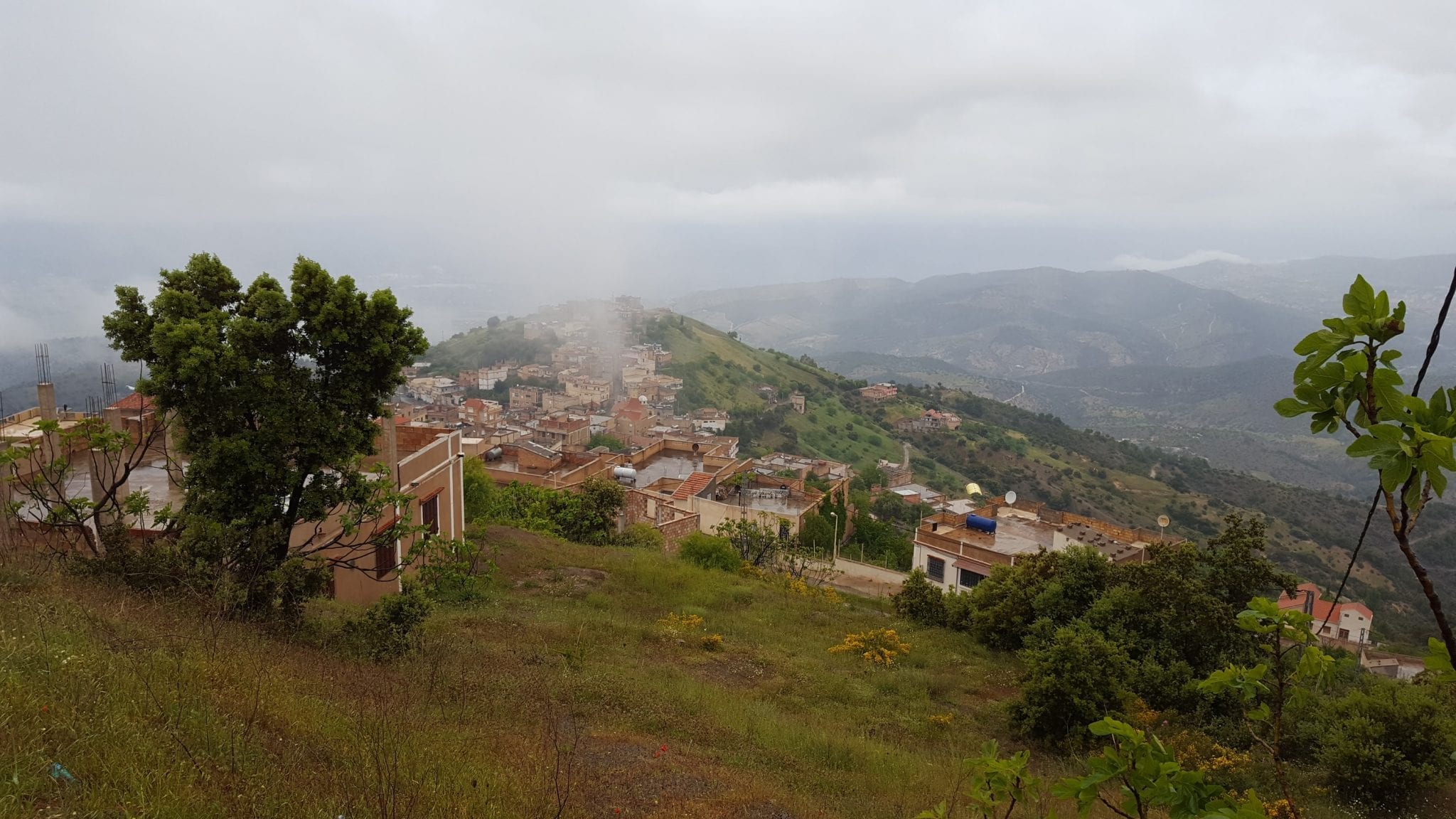 14 Interesting Facts about Algeria - Fact City