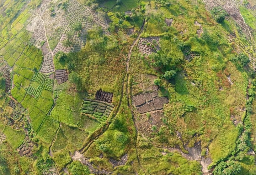 19 Glorious Facts About Guinea - Fact City