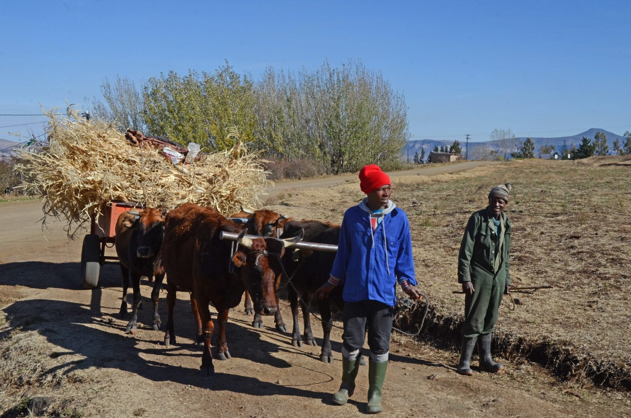 22 Lovely Facts About Lesotho - Fact City
