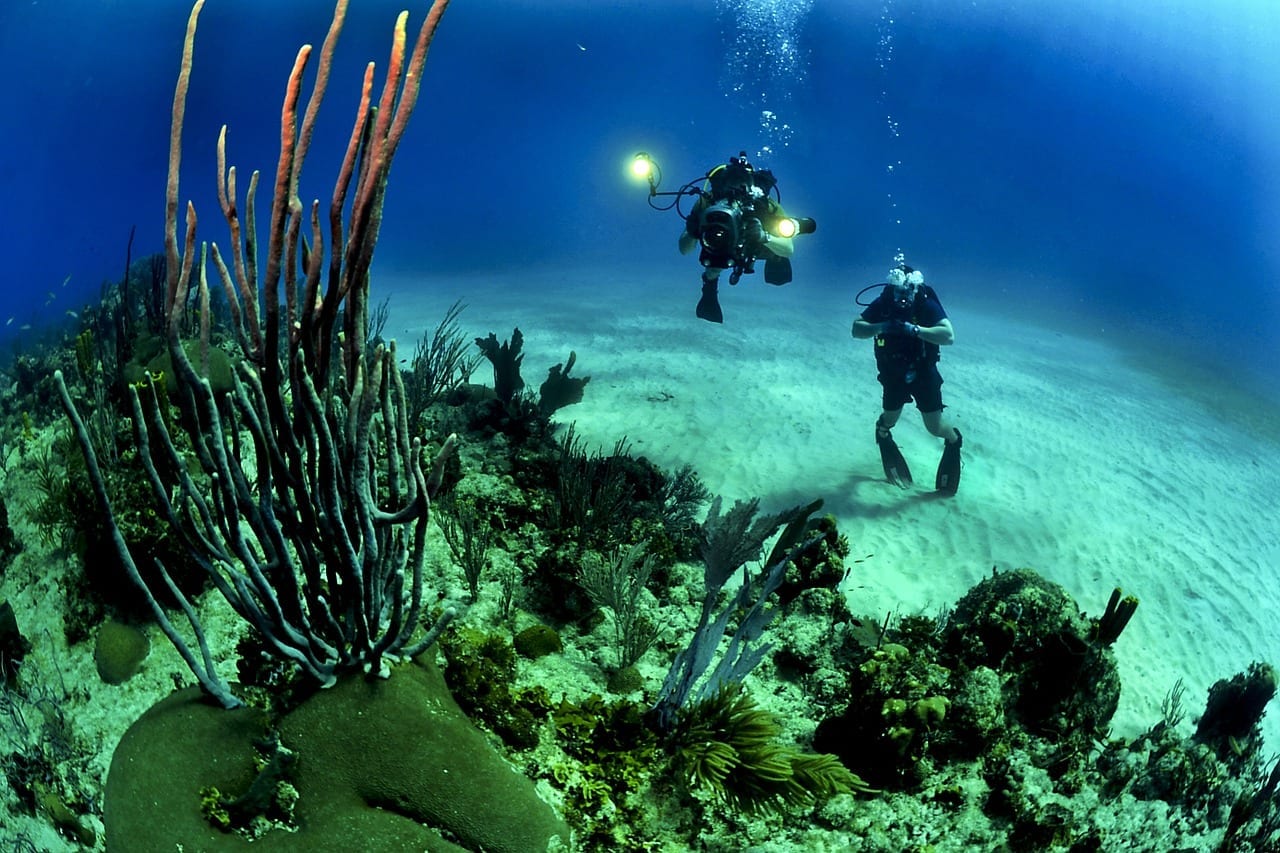 29 Seriously Fun Facts About Scuba Diving - Fact City