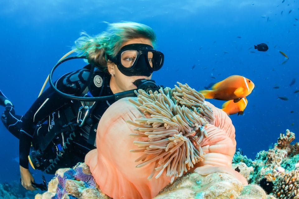 29 Seriously Fun Facts About Scuba Diving - Fact City