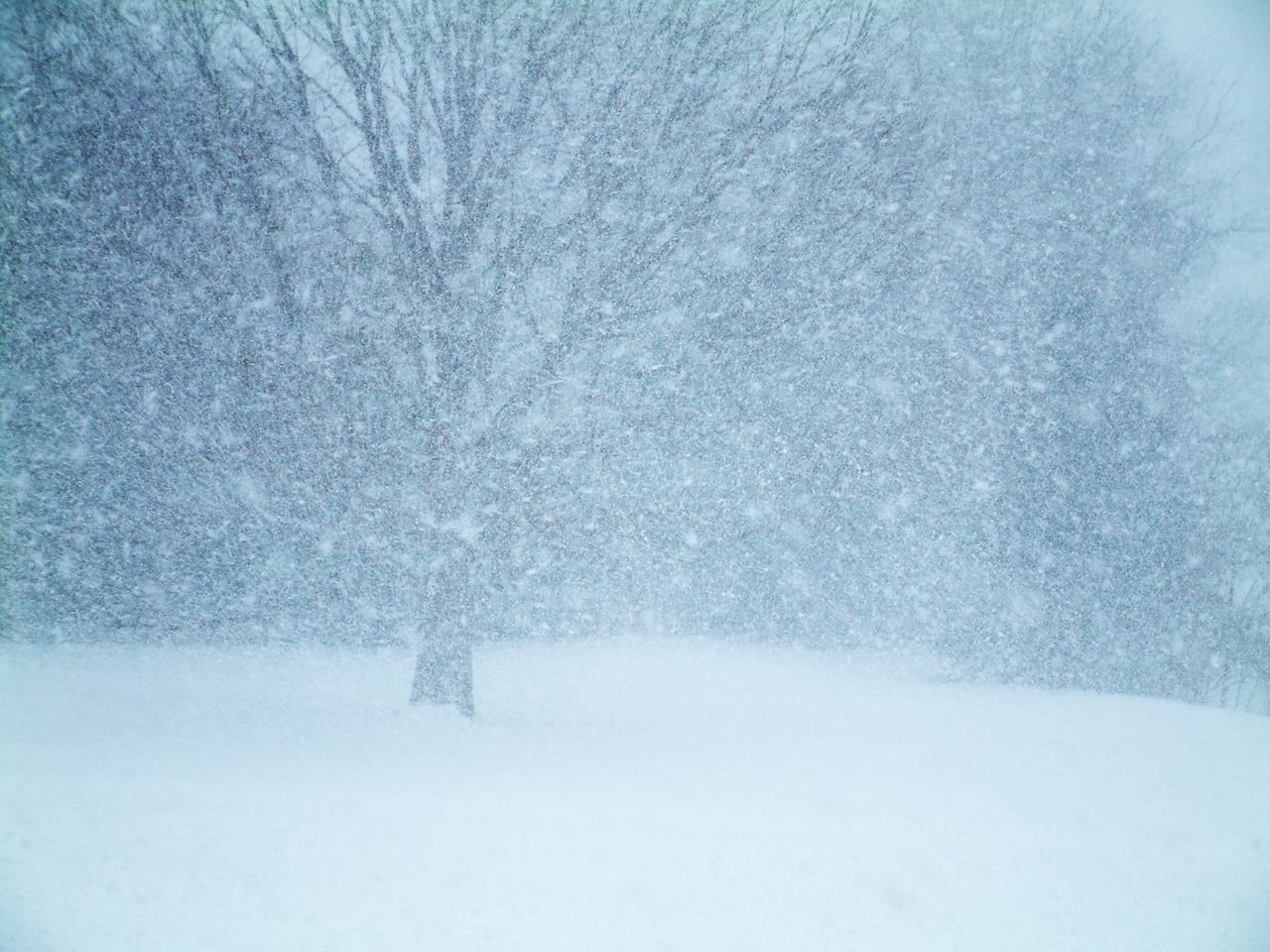 9 Fun Facts About Blizzards | Fact City