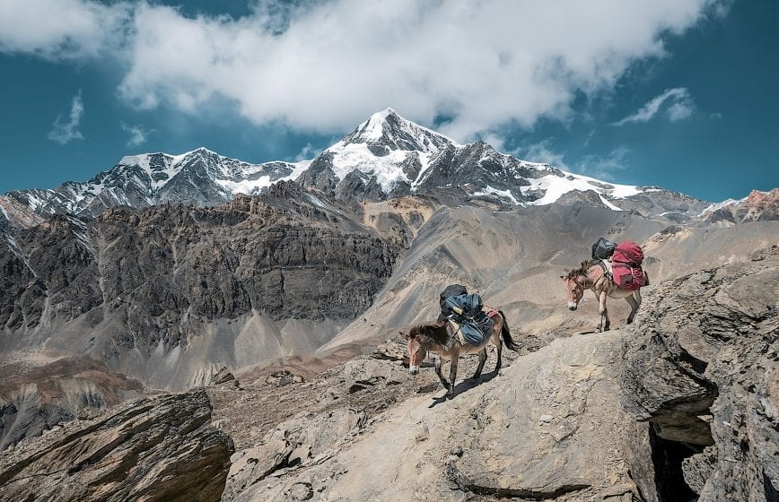 10 Fun Facts About the Himalayas for Kids | Fact City