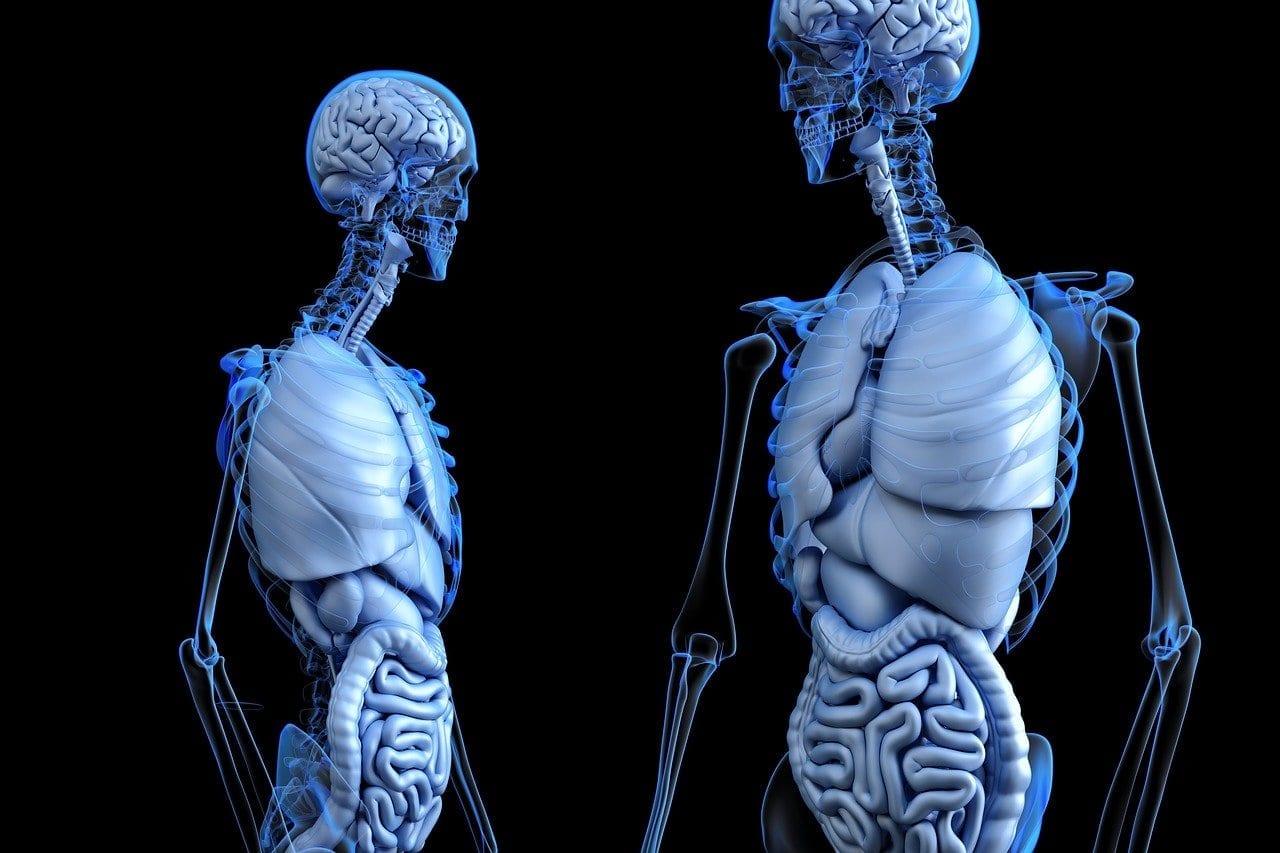 23 Weird And Wonderful Facts About The Human Body - Fact City