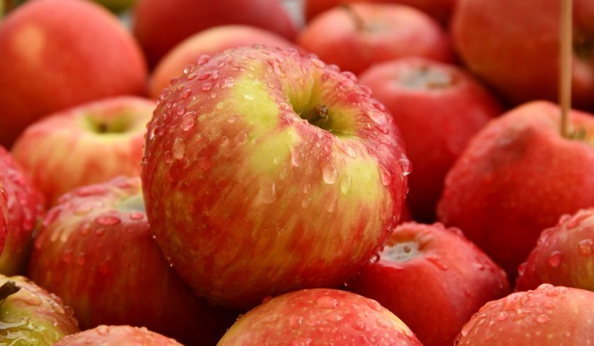 Medium Red Delicious Apple Nutrition Facts | Besto Blog
