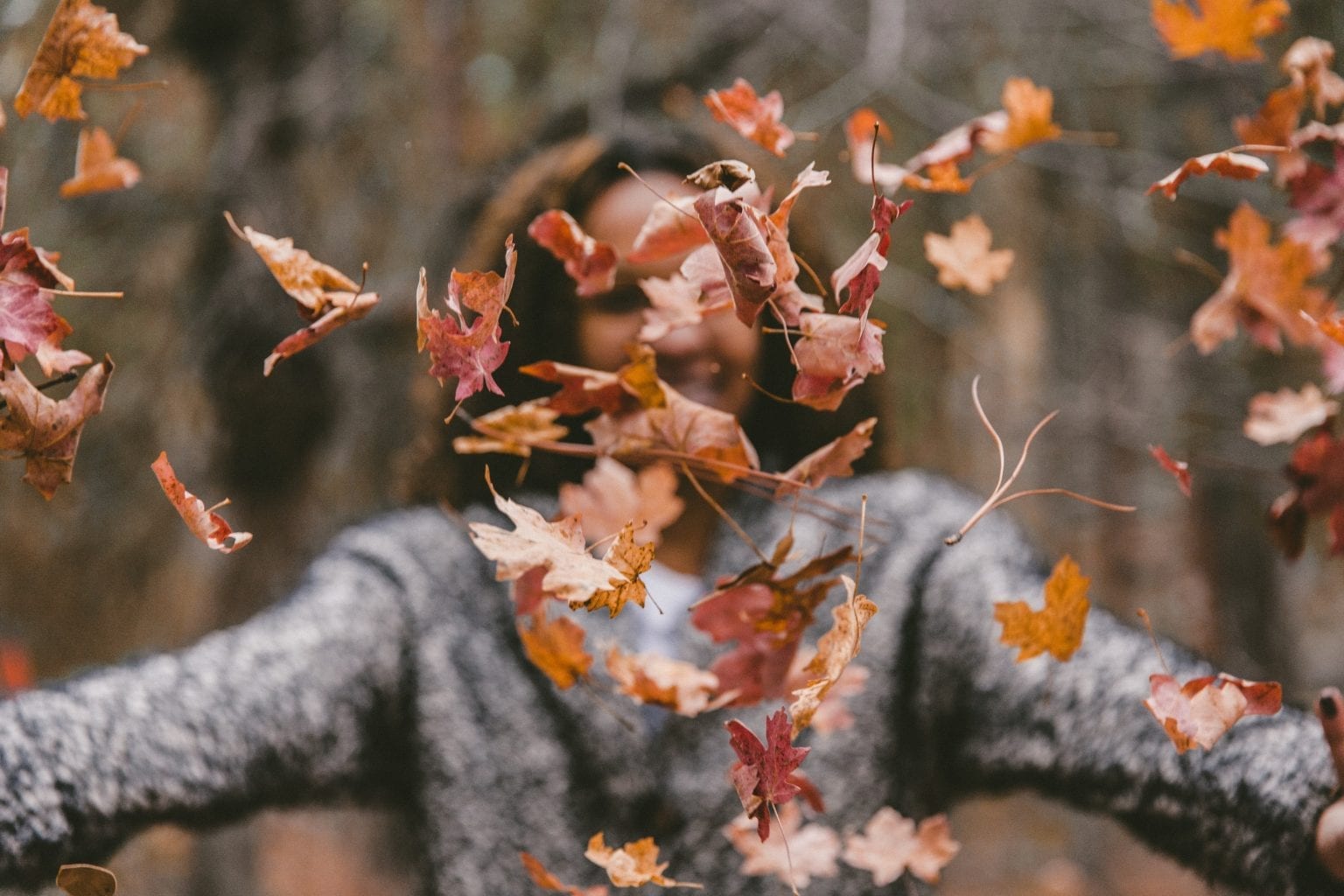 10 Fantastic Facts About Autumn | Fact City