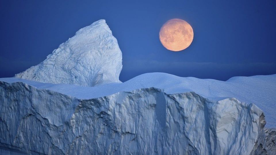 11 Amazing Facts About The Arctic - Fact City