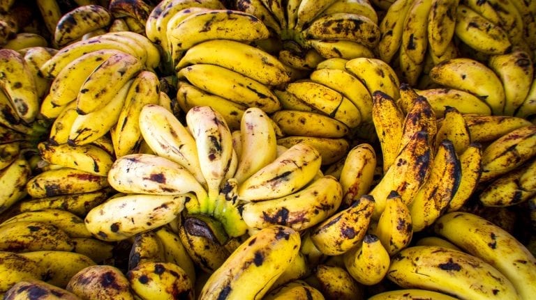 30 Bonkers Nutrition Facts About Bananas Fact City
