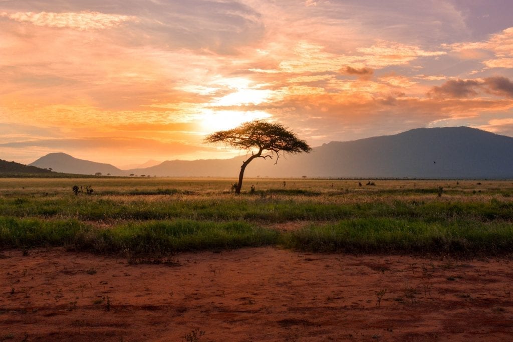 56 Amazing Facts About Africa - Fact City
