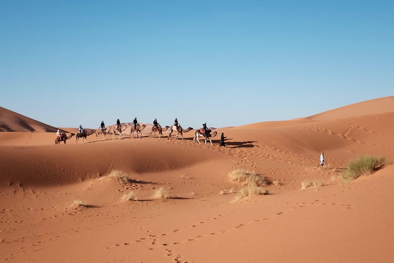 15 Hot Facts About The Sahara Desert - Fact City