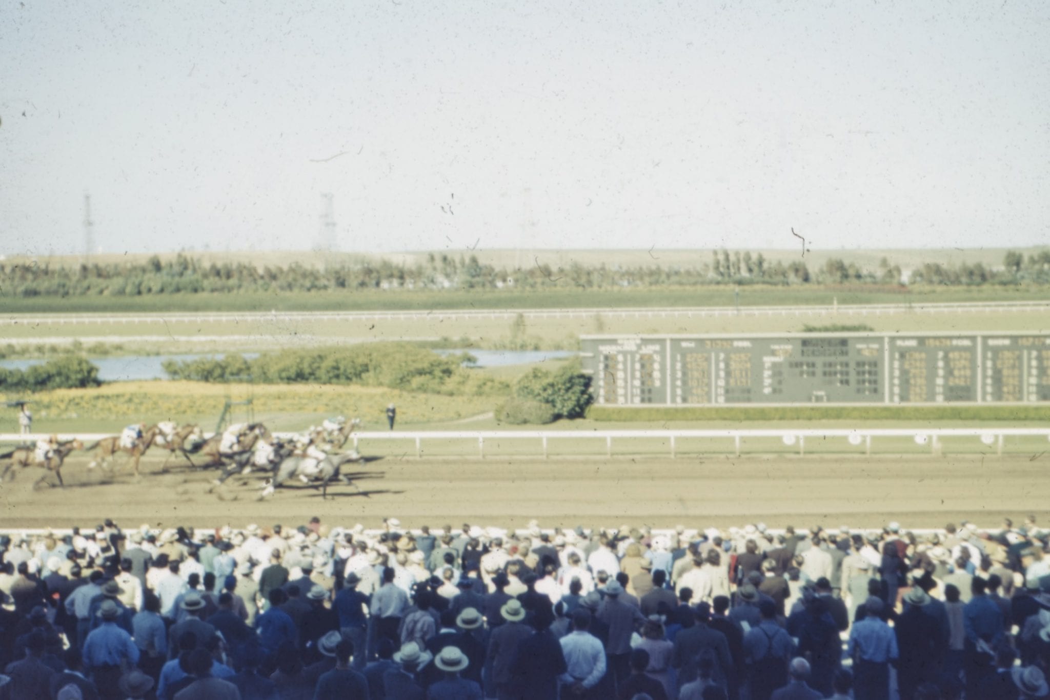 10 Glamorous Facts about the Grand National - Fact City