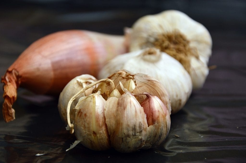 10 Aromatic Facts About Garlic - Fact City
