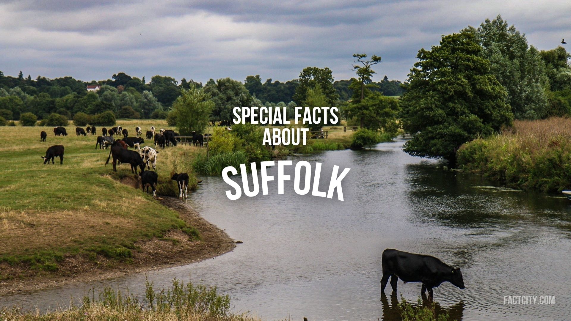 8 Special Facts about Suffolk - Fact City
