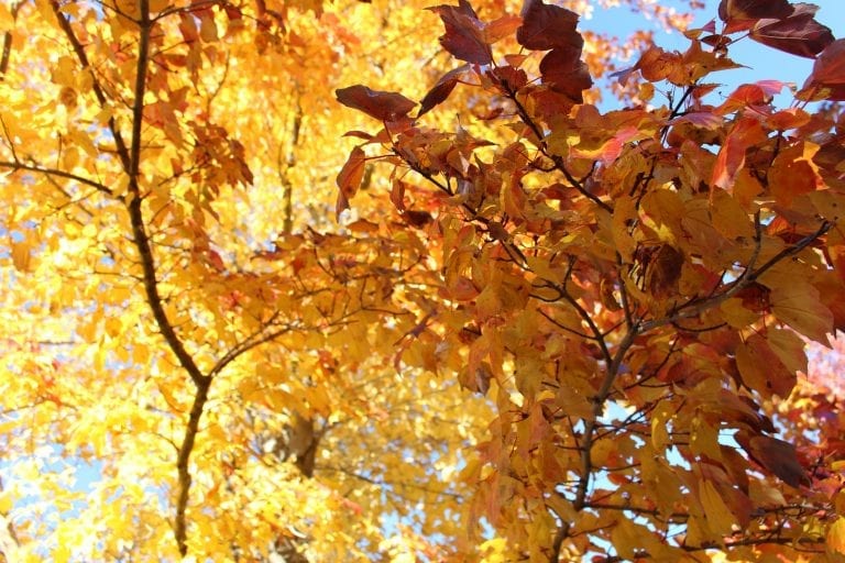 18 Interesting Facts About October