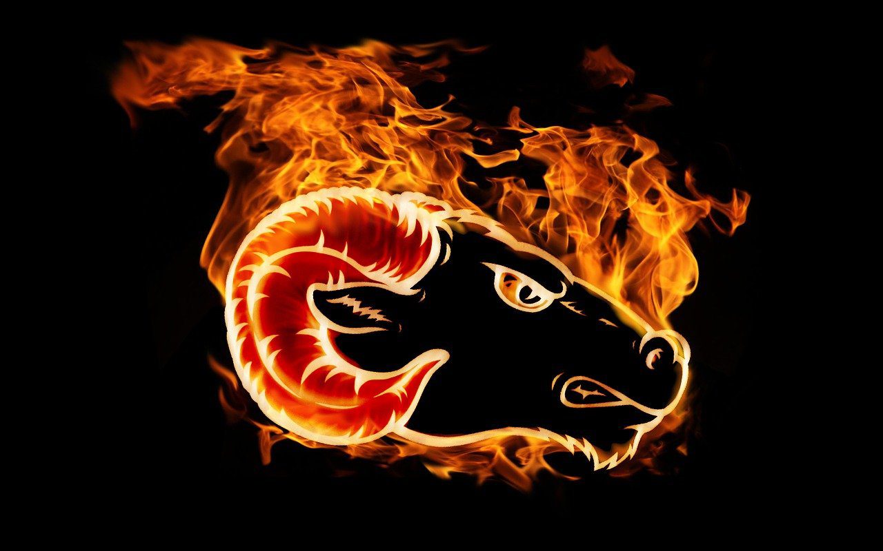 13 Authoritative Facts About Aries | Fact City