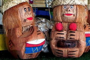 A Bunch of 14 Lovely Facts About Coconuts - Fact City