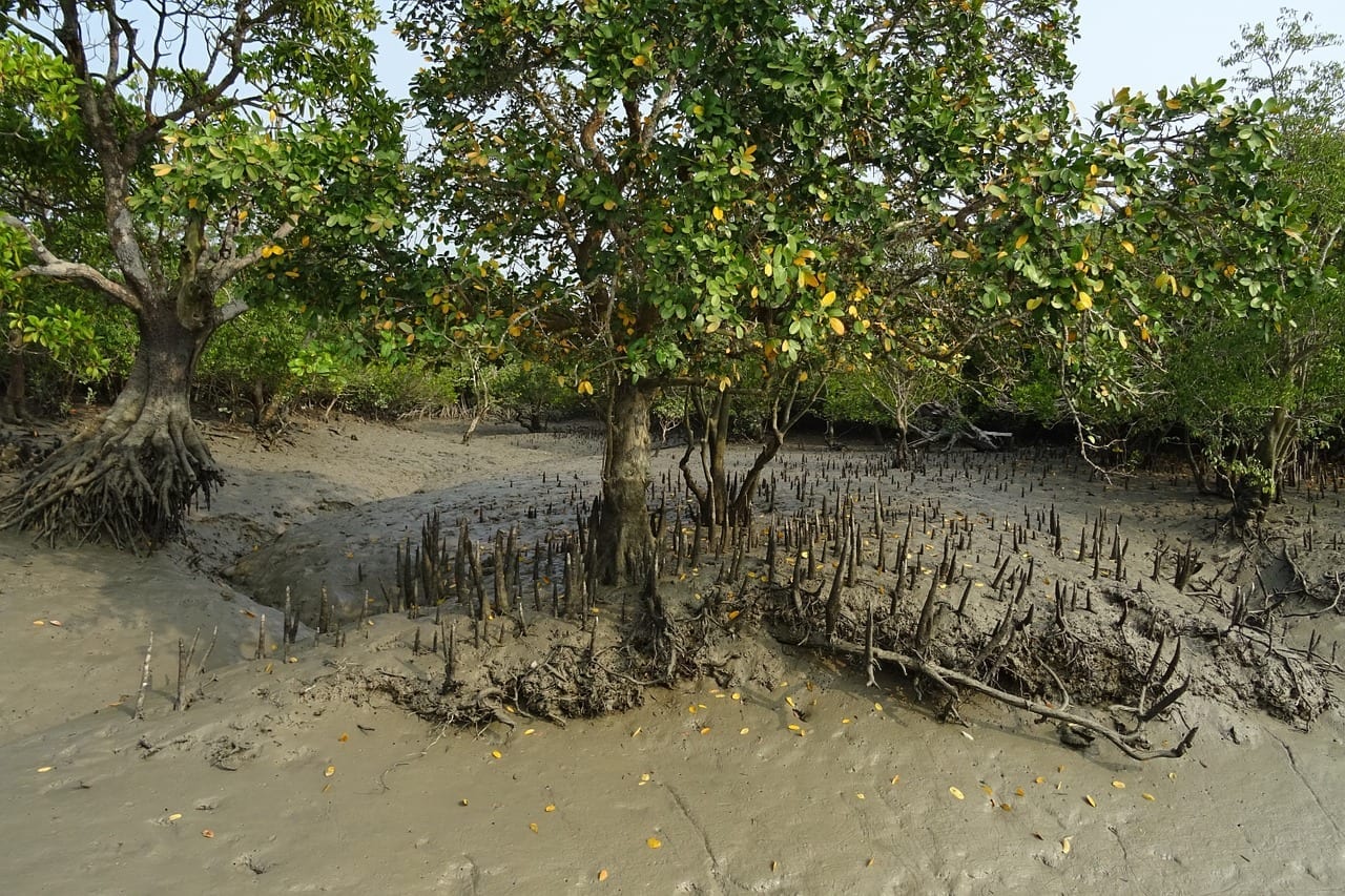 14 Brilliant Facts about the Bay of Bengal - Fact City