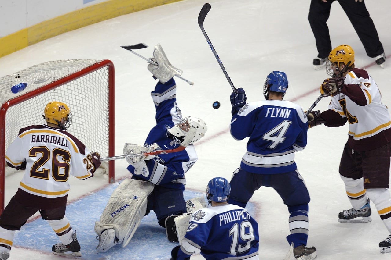 33 Happy Facts About Ice Hockey - Fact City