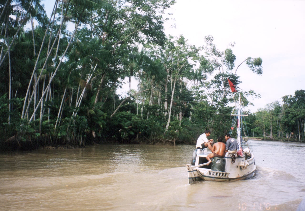25 Amazing Facts About The Amazon Rainforest | Fact City