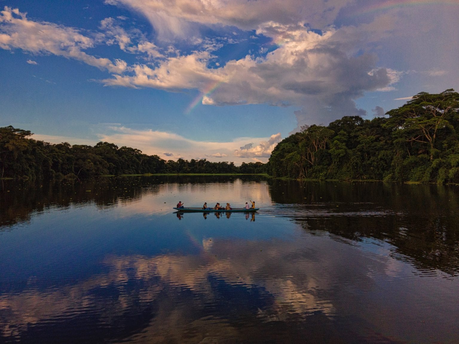 25 Amazing Facts About The Amazon Rainforest | Fact City