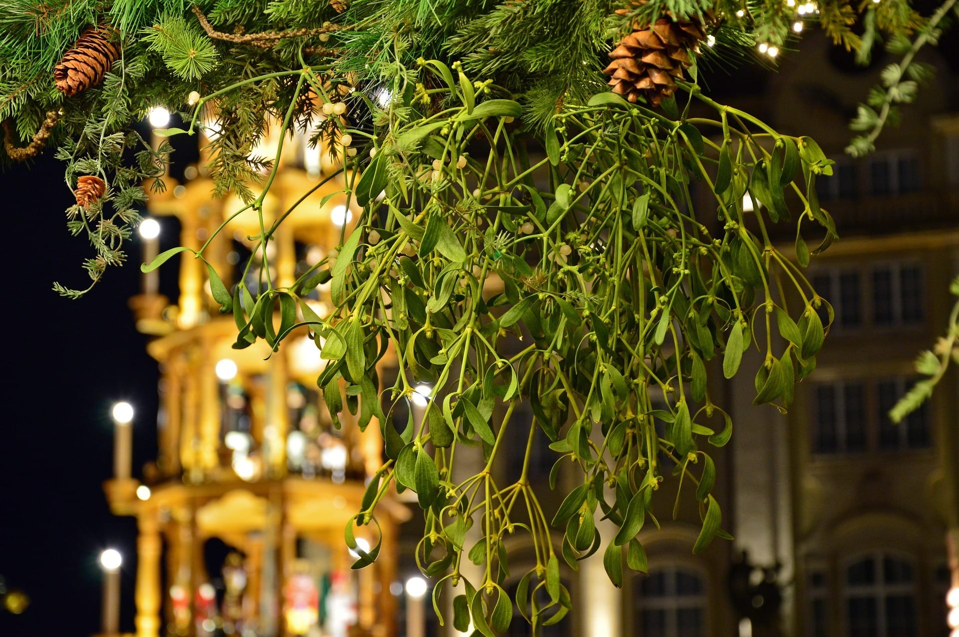 10 Marvellous Facts about Mistletoe - Fact City