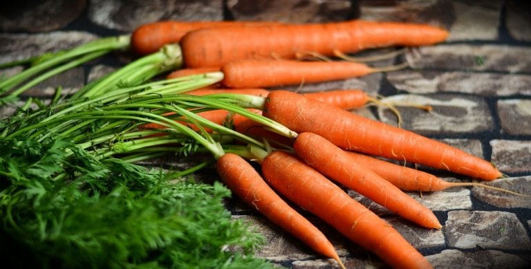 36 Nutritious Facts About Vegetables - Fact City