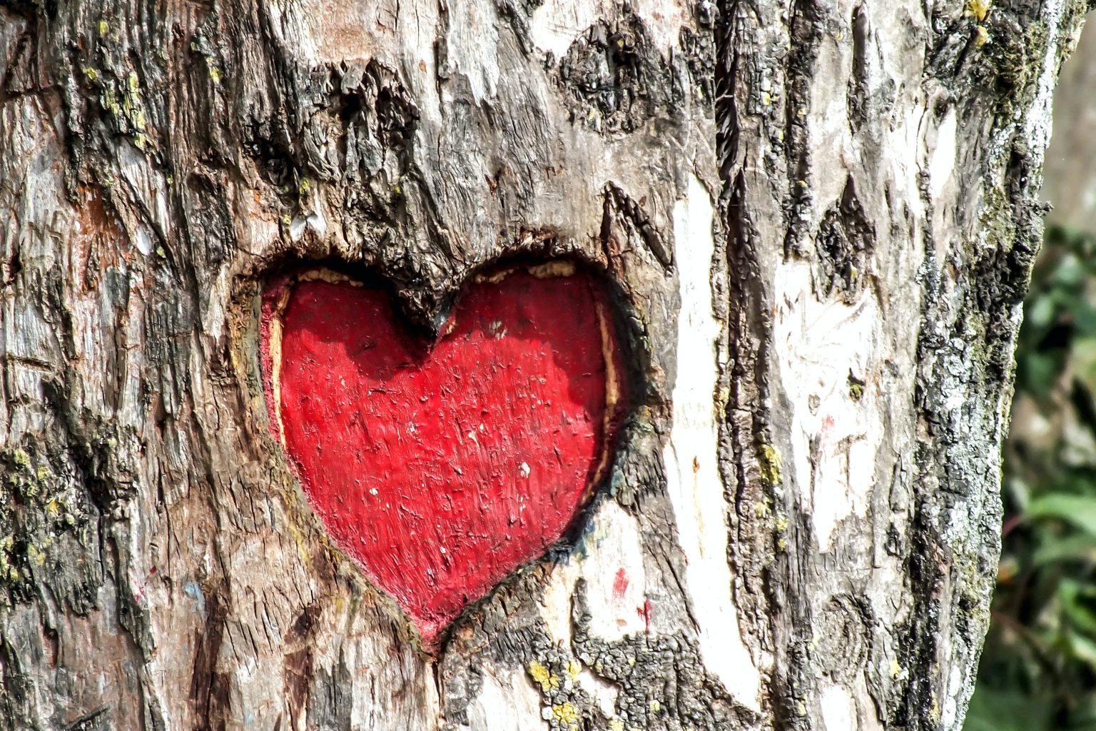 26 Fabulous Facts About February - Fact City