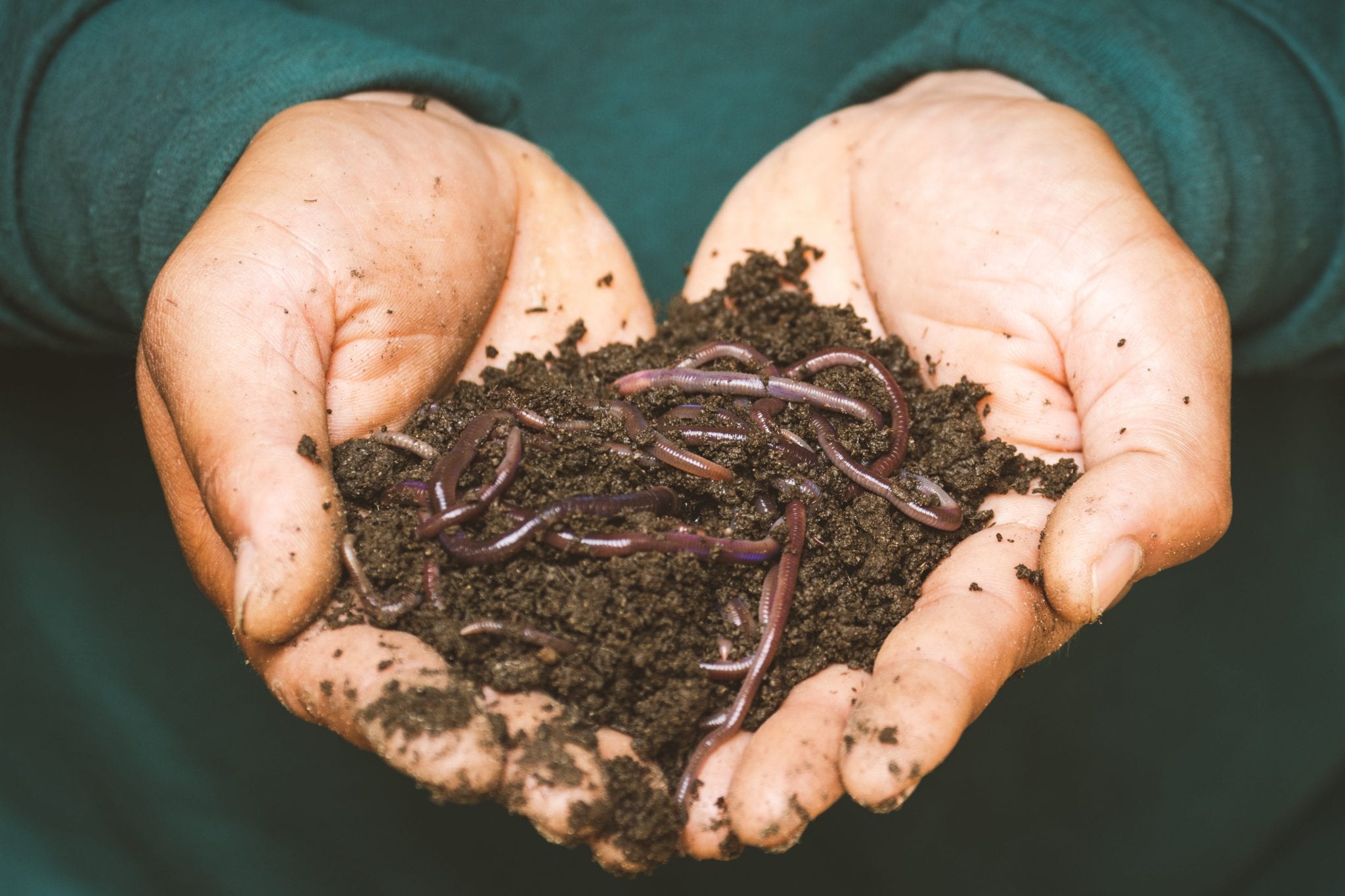 15 Interesting Facts About Soil