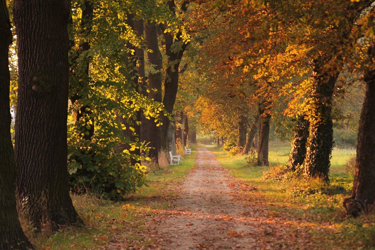 15 Stunning Facts About September - Fact City