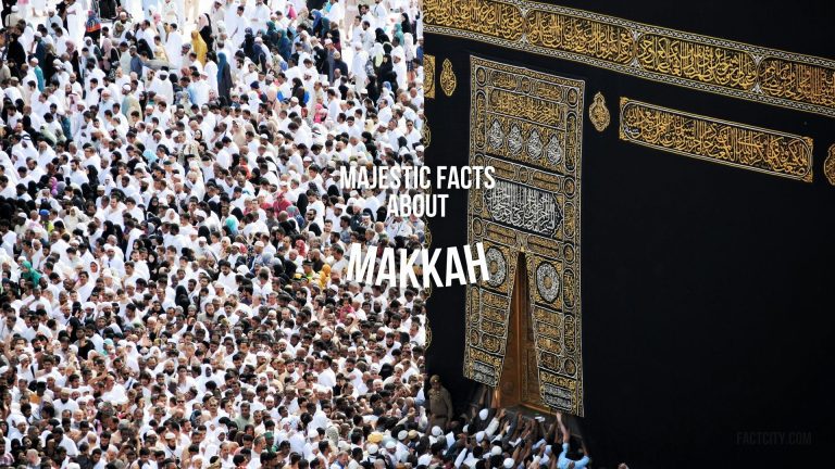 22 Interesting Facts About Islam - Fact City