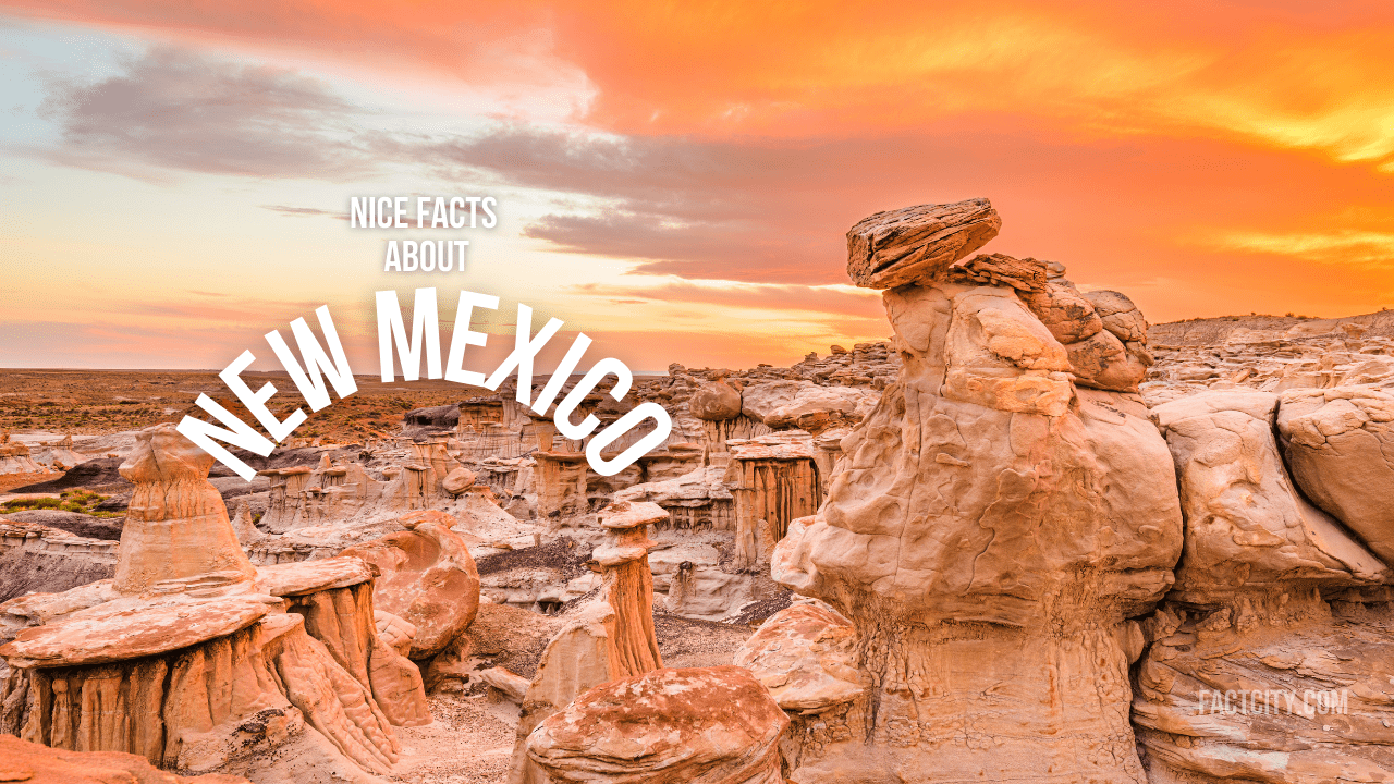 12 Nice Facts about New Mexico - Fact City
