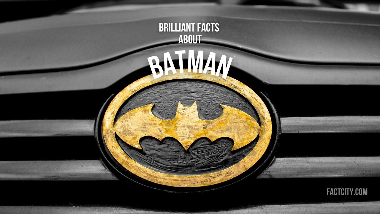 10 Brilliant Facts About Batman - Fact City