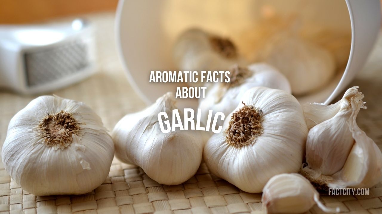 10 Aromatic Facts About Garlic - Fact City