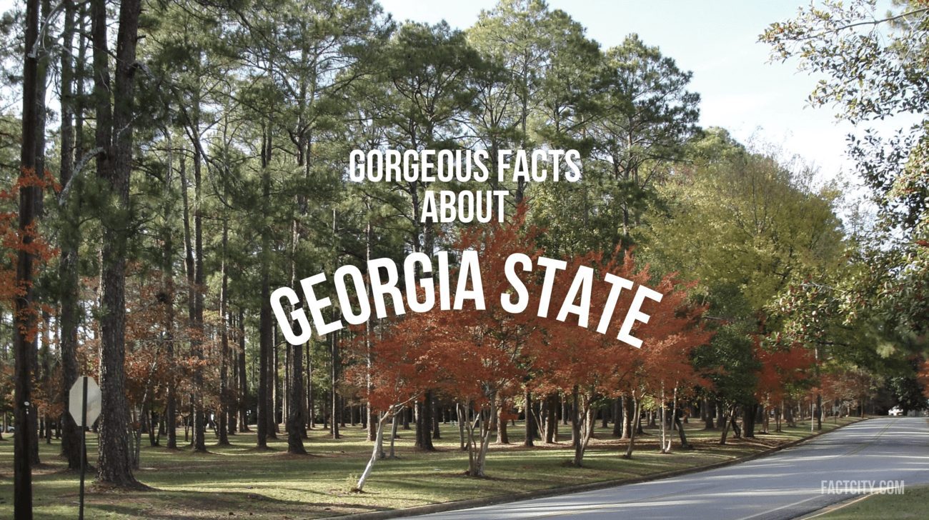 11 Gorgeous Facts about Georgia State - Fact City
