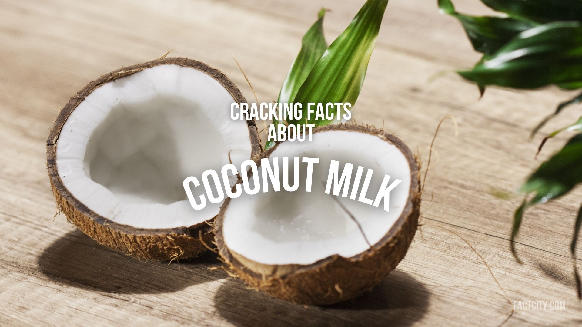 9 Cracking Facts about Coconut Milk - Fact City