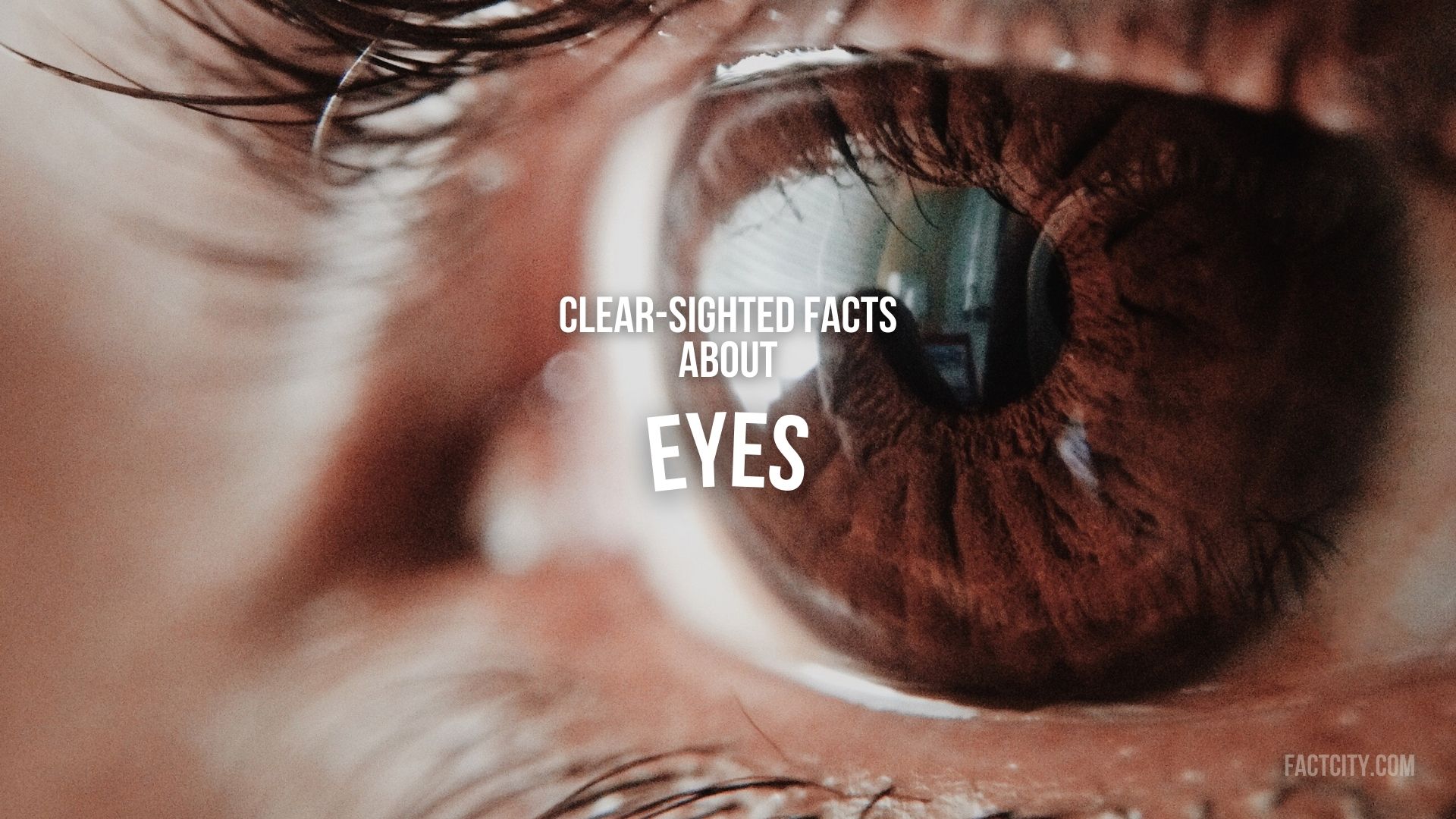 16 Interesting Facts About Dementia - Fact City