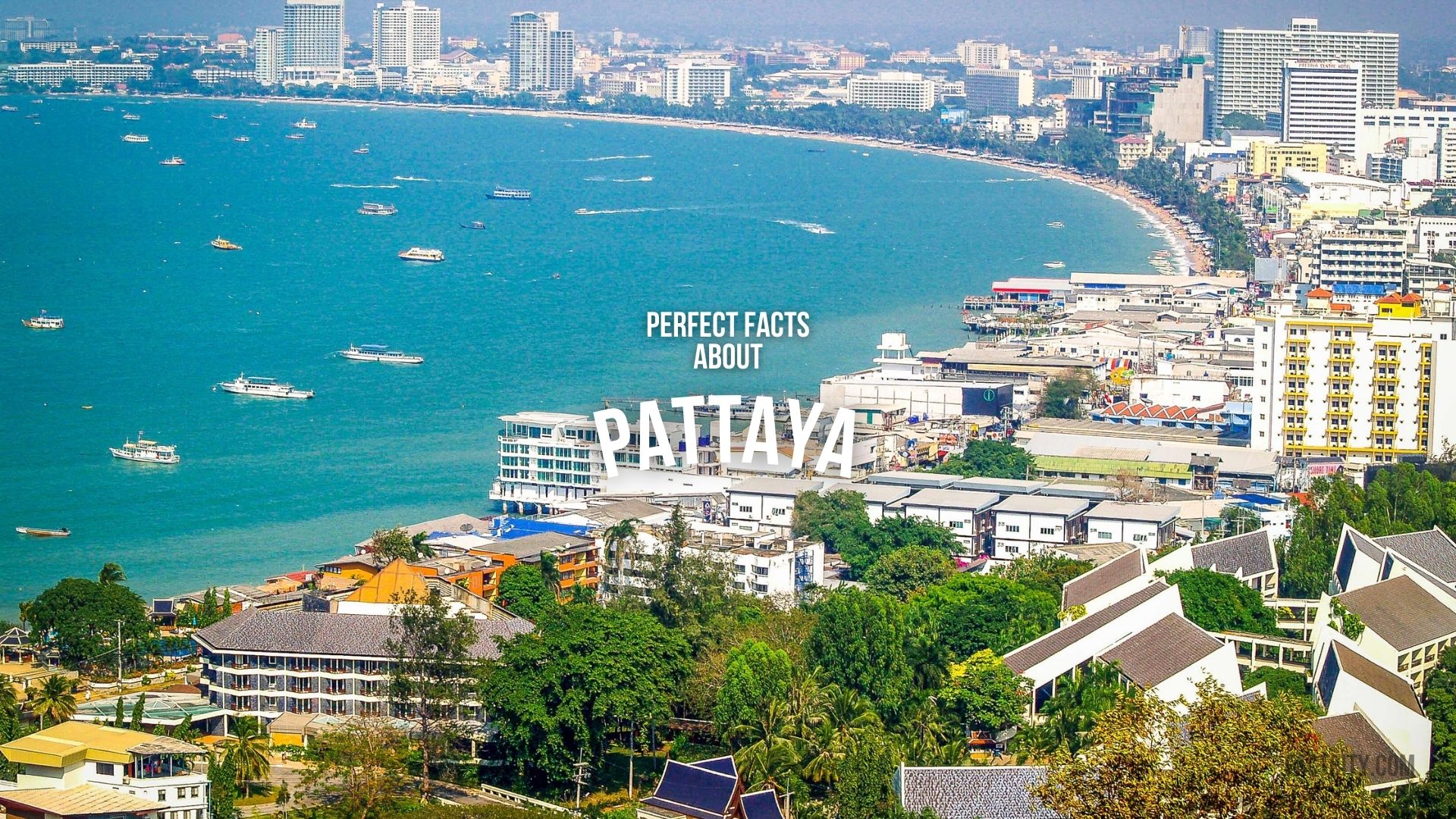 12 Perfect Facts About Pattaya - Fact City