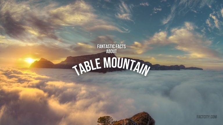 17 Interesting Facts About Table Mountain - Fact City