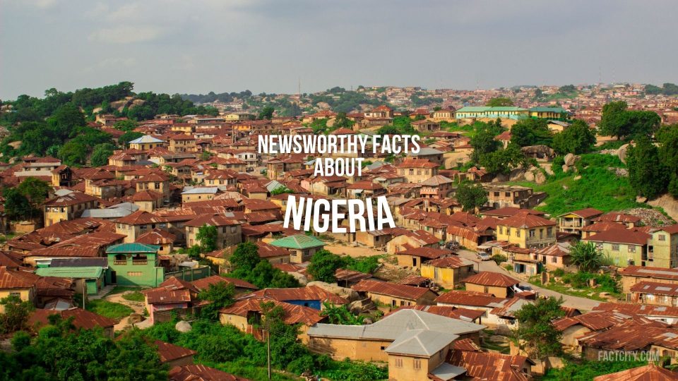 13 Interesting Facts About Yaks - Fact City