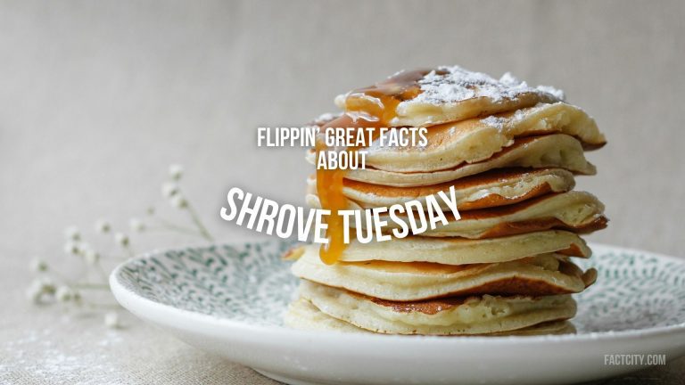 27 Central Facts About Canberra | Fact City