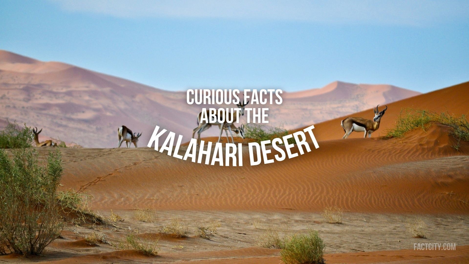 10 Mesmerising Facts About Madame Tussauds - Fact City 10 Mesmerising Facts About Madame Tussauds - Fact City